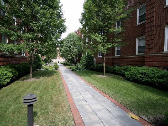 4721 S. Ellis Avenue 2 Bedroom Apartment for Rent at 4721 S Ellis Ave, Chicago, IL 60615 Kenwood