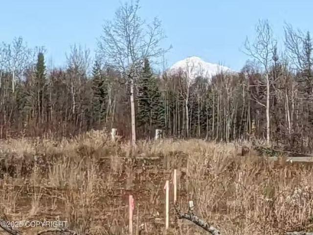 47345 S HAWK AVENUE, WILLOW, AK 99688 Vacant Land For Sale ML.