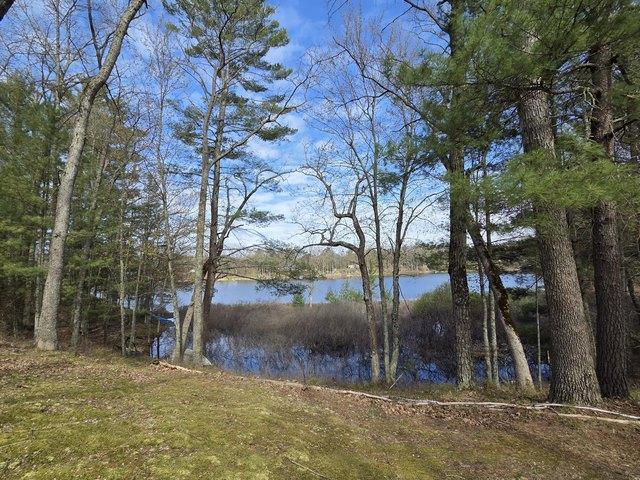 4735 N Alice Lake Dr, Irons, MI 49644