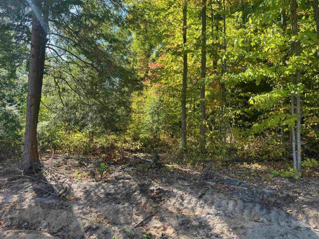 4735 Leaning Birch Drive # Lot: 1