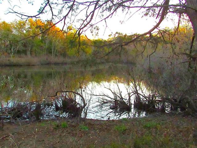 4736 County Road 4736, Cumby, TX 75433 | MLS #21133 | Compass