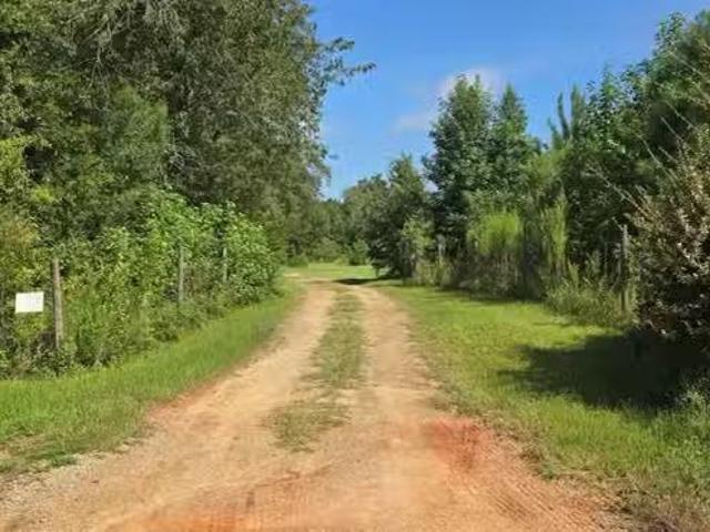 4739 WALLACE BUIE RD, WEBB, AL 36376
