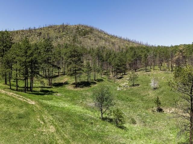 4730 and 5125 Big Bear Rd, Loveland, CO 80538