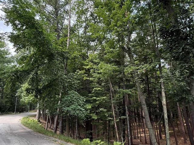 4731 Albert Courtade Road