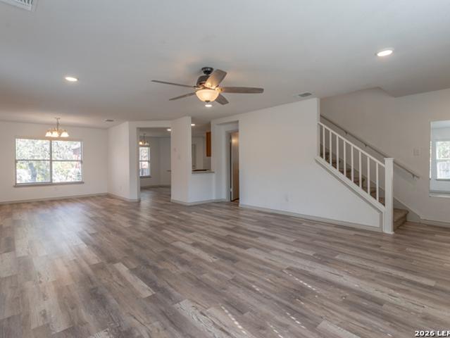 4731 Irish Elm