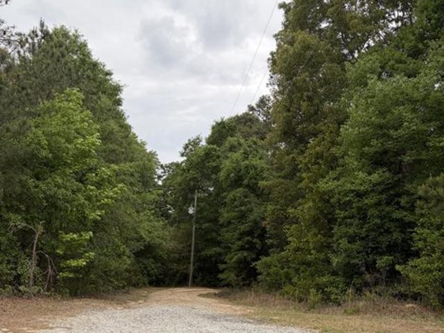4732 Arnold Dr, Macon, GA 31216