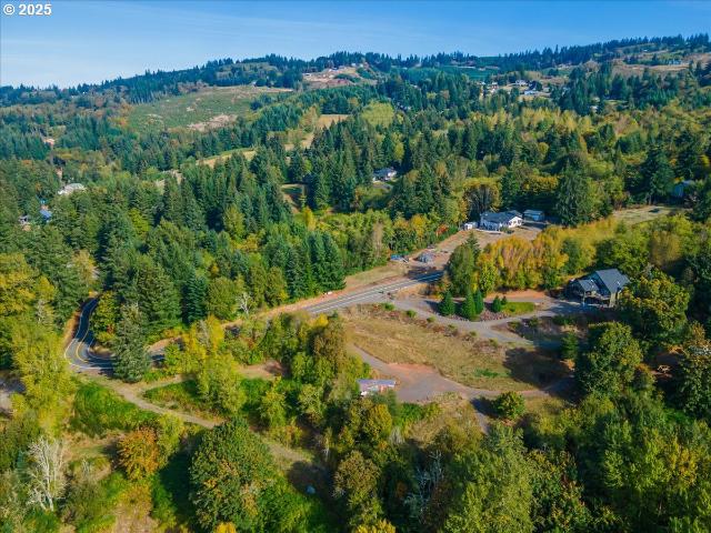 4733 Green Mountain Rd, Kalama, WA 98625 | MLS #643063 | Compass