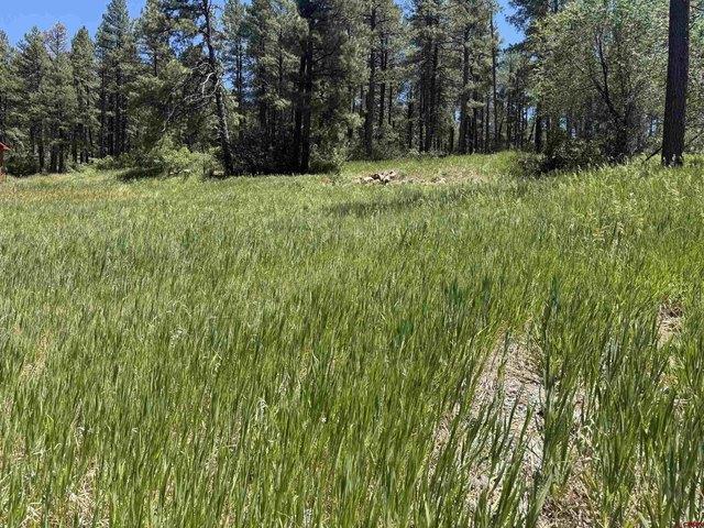 473 Alpine Forest Dr, Bayfield, CO 81122