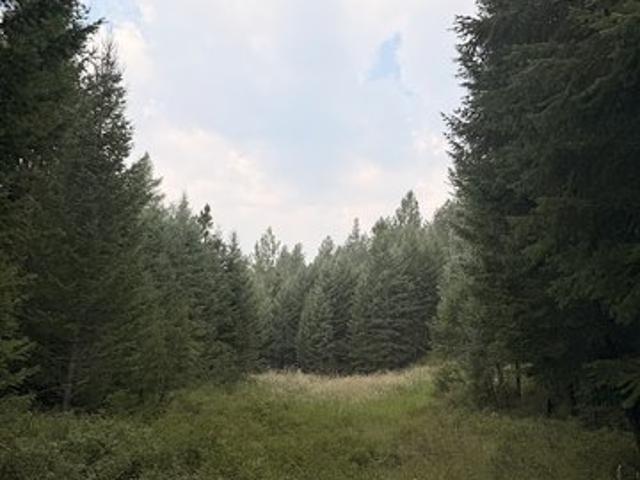 47466 Harmony Ln, Proctor, MT 59929