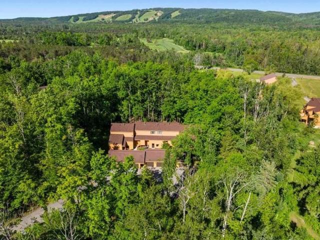 4749 S Pleasantview Rd, Harbor Springs, MI 49740
