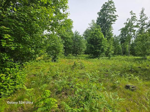 4749 W 9 Mile Road