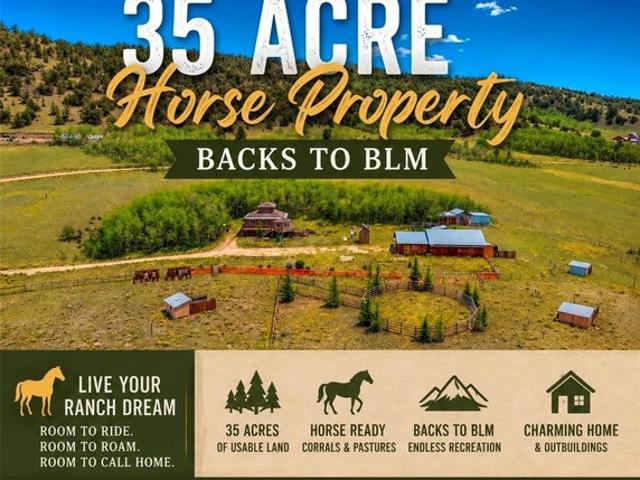 474 Gap Rd Lot 113, Fairplay, CO 80440