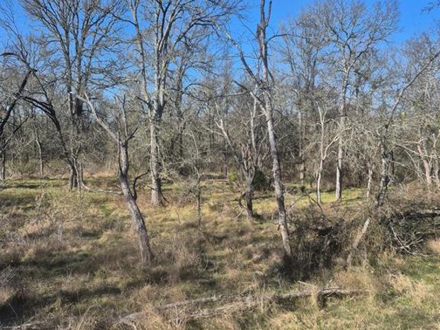 474 Fm 2958, Marlin, TX 76661 | MLS #21168