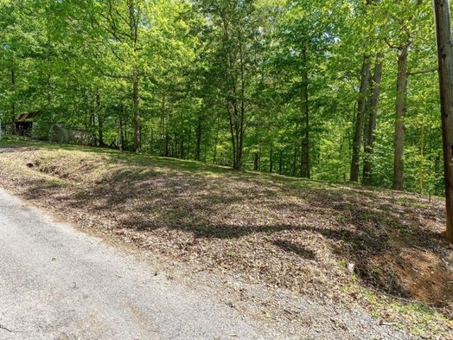 474 Timberlake Dr, Smithville, TN 37166
