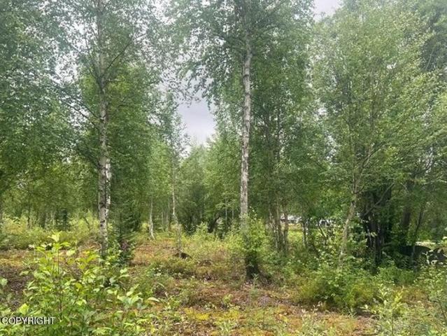 4758 S Horseshoe Lake Rd, Big Lake, AK 99652
