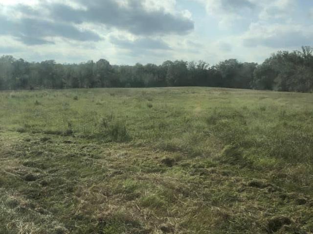 4759 County Road 55 # 1