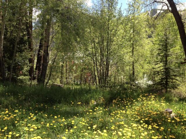 475 477 W Galena Ave, Telluride, CO 81435 | MLS #43379 | Compass