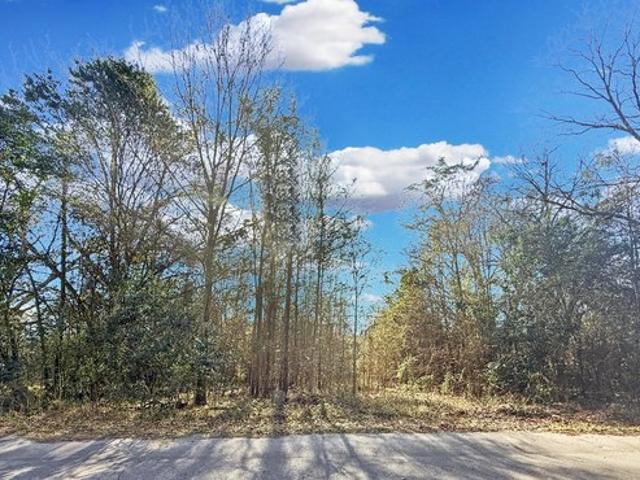 475 Coleman Ave, Orangeburg, SC 29115