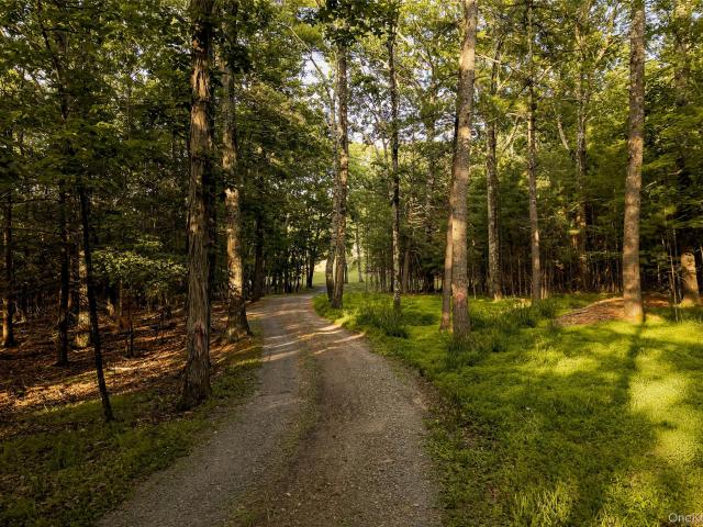 475 Ohayo Mountain Road