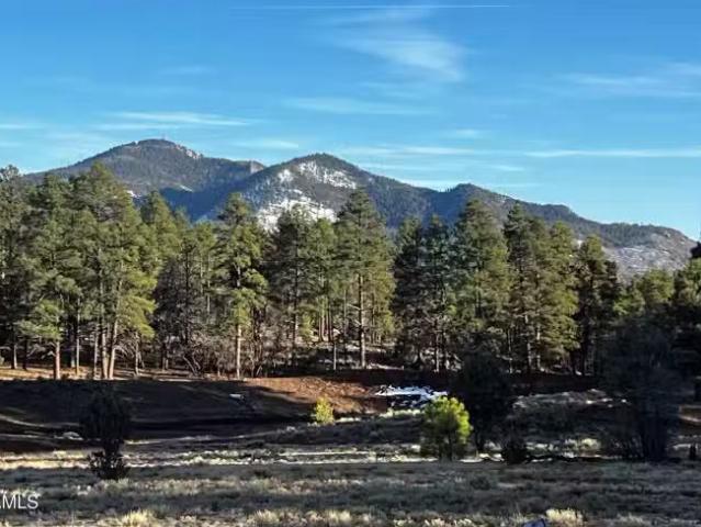 475 N Double A Rnch Rd, Williams, AZ 86046 MLS 200004