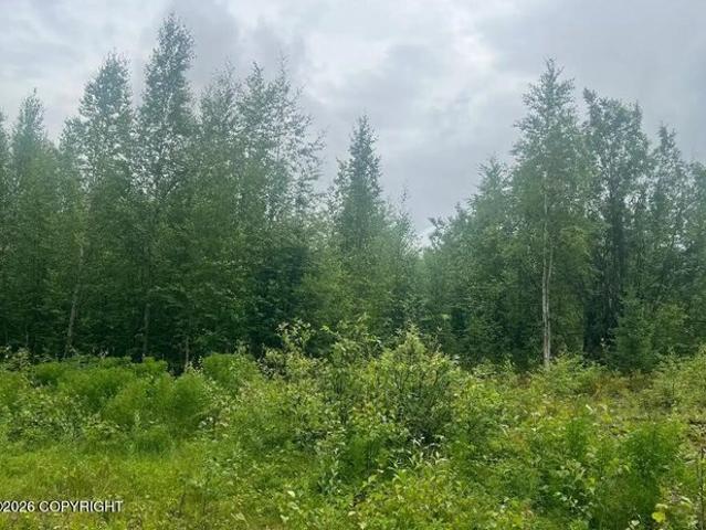 4764 S Horseshoe Lake Rd, Big Lake, AK 99652