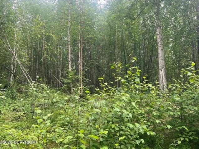 4768 S Horseshoe Lake Rd, Big Lake, AK 99652