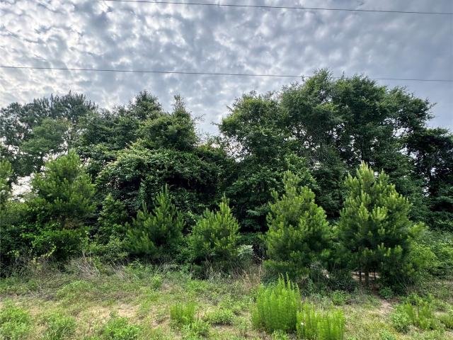 476 County Road 3773