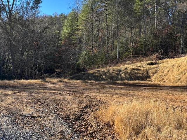 476 Appalachia Dam Road
