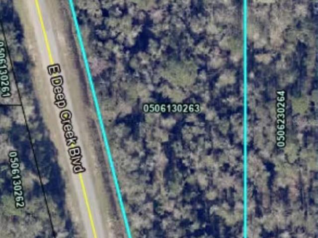 4775 Naomi St, Hastings, FL 32145 MLS FC301263