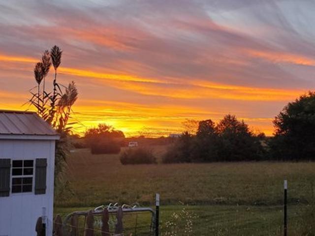 4775 S 50th Rd, Aldrich, MO 65601