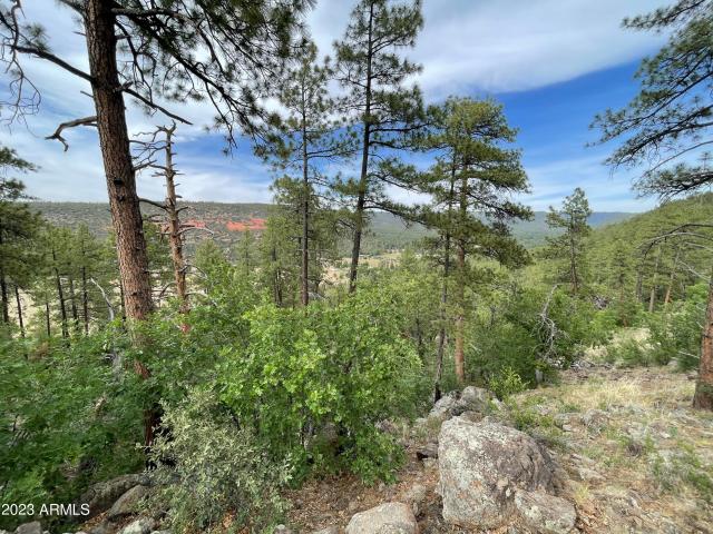 4770 N Pine Shadows Lane # 2