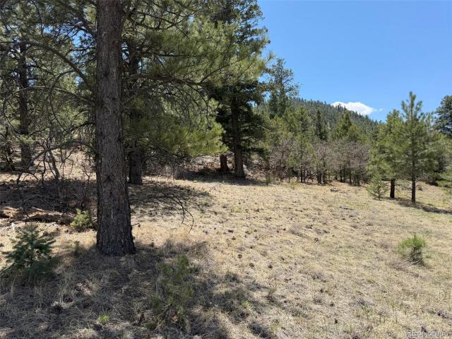 477 Bear Peak Road