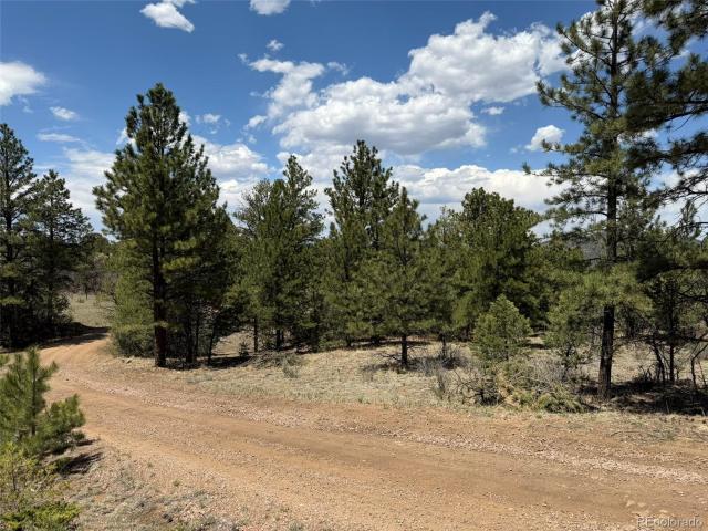 477 Bear Peak Road