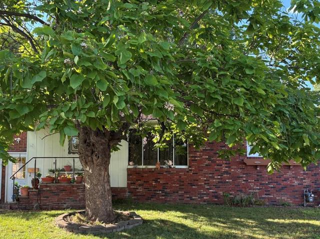 477 Steinway Road