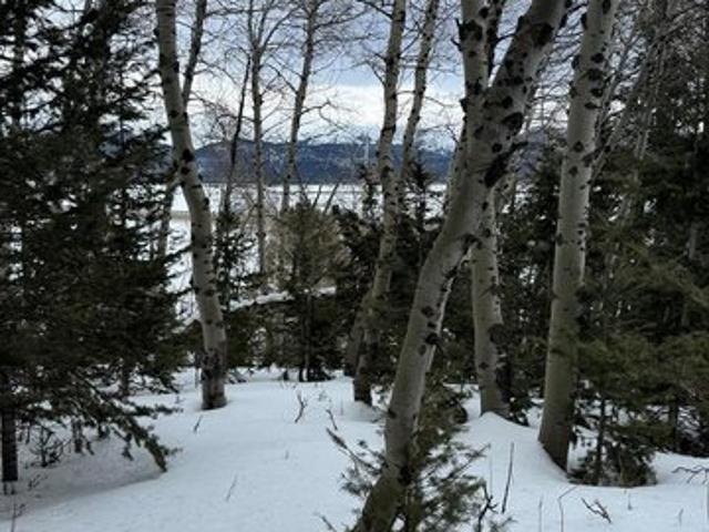 4788 Balsam St, Island Park, ID 83429