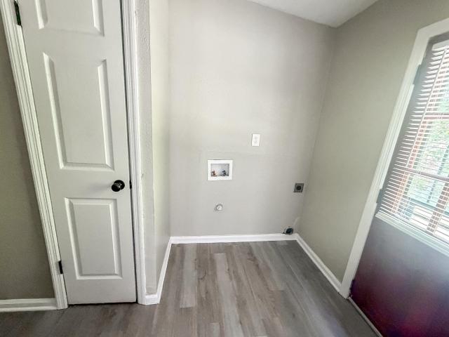 4788 royal elm cv
