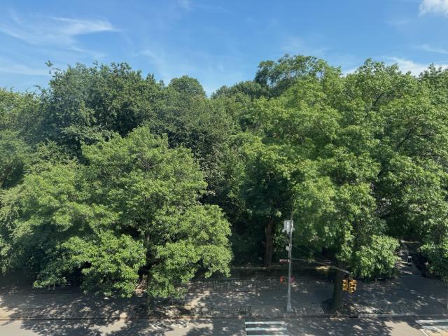 478 Central Park West, New York, NY