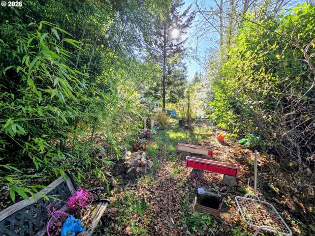 47995 mckenzie hwy
