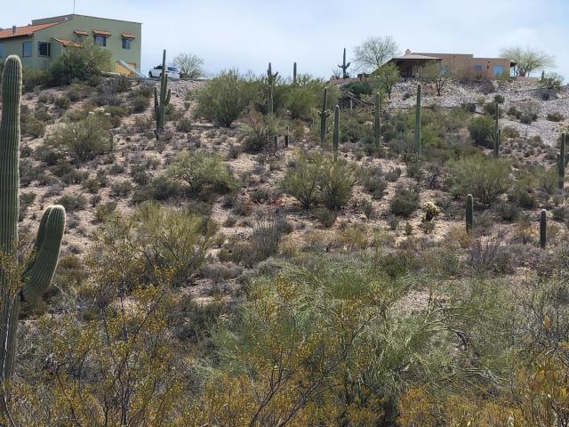 4790 N El Adobe Ranch Rd, Tucson, AZ 85745 | MLS #6840