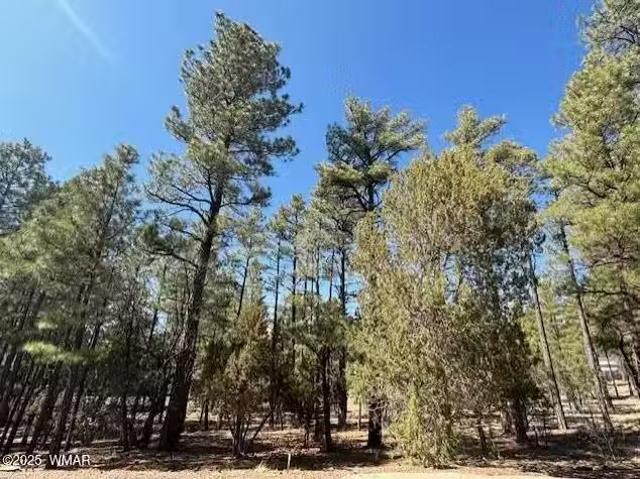 4790 W Hawthorn Rd, Show Low, AZ 85901 MLS 255057