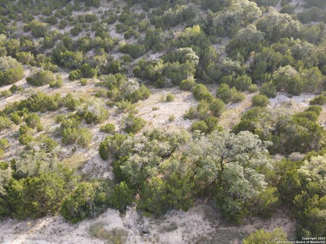 479 Canyon Rim, Helotes, TX 78023 | MLS #1803