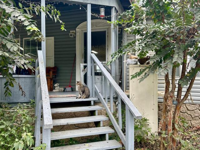 479 Donaldson Point Road