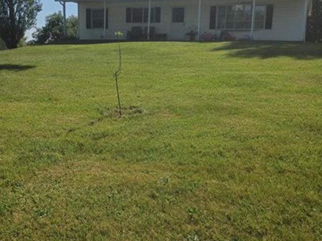479 Perry Rd, Winchester, VA 22602