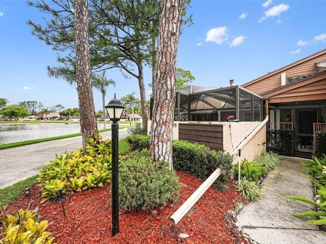 4805 Umber Ct, Tampa, FL 33624
