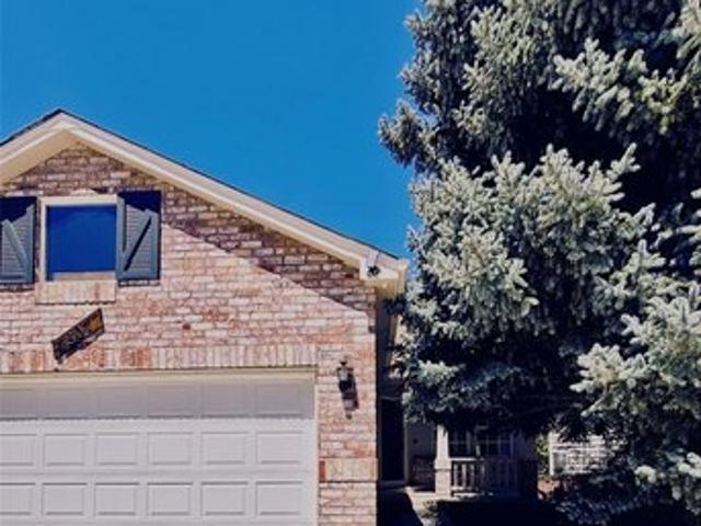 4807 N Bearlily Way, Castle Rock, CO 80109