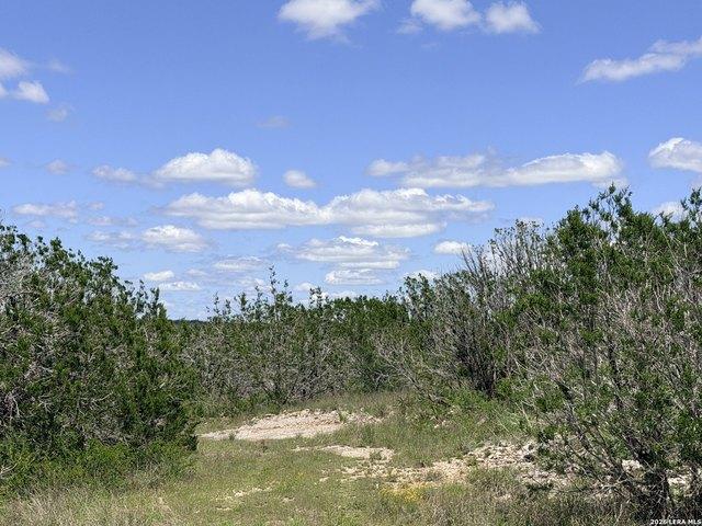4807 County Road 429 Lot 160, Uvalde, TX 78801