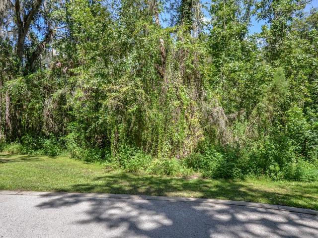 4808 Rambling River Rd, Brandon, FL 33511 | MLS #T3551 | Compass