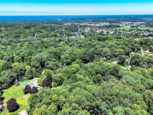 48091 N Ridge Rd, Amherst, OH 44001