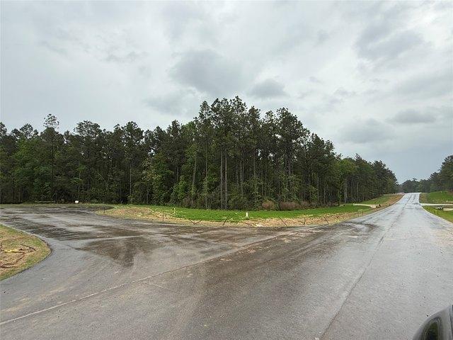 4809 Fort Stockton Ct, Montgomery, TX 77316