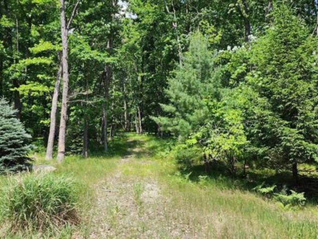 4809 White Birch Ln, Farwell, MI 48622